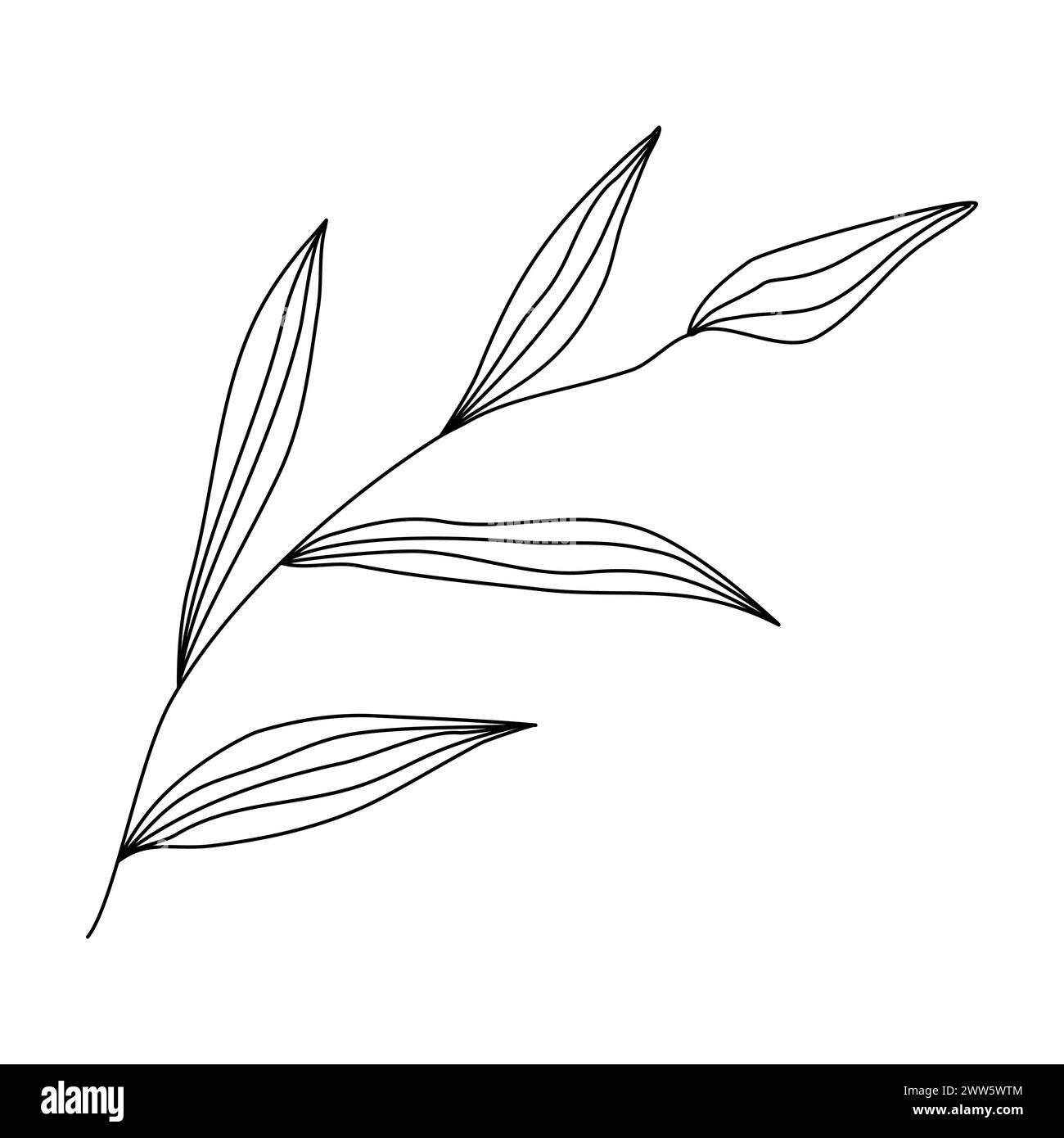 Plant sprig, ecology or natural spring element, doodle style flat ...