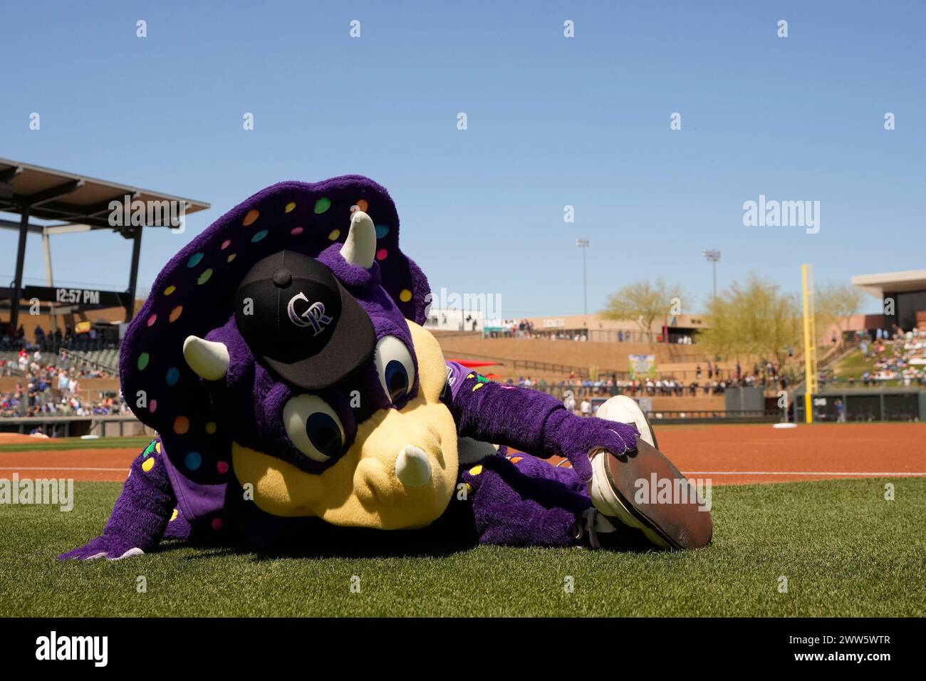 Colorado Rockies mascot Dinger stretches prior to the Rockies' spring ...