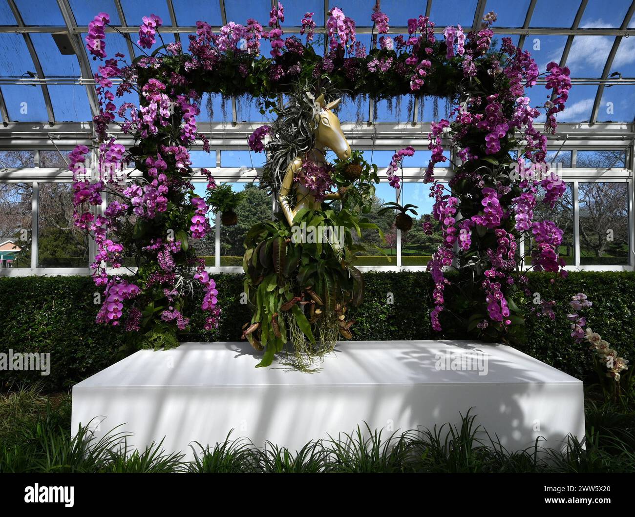 New York, USA. 21st Mar, 2024. View of artist Hillary Taymour's ...