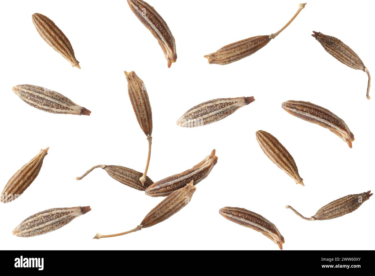 Many cumin seeds falling on white background Stock Photo - Alamy