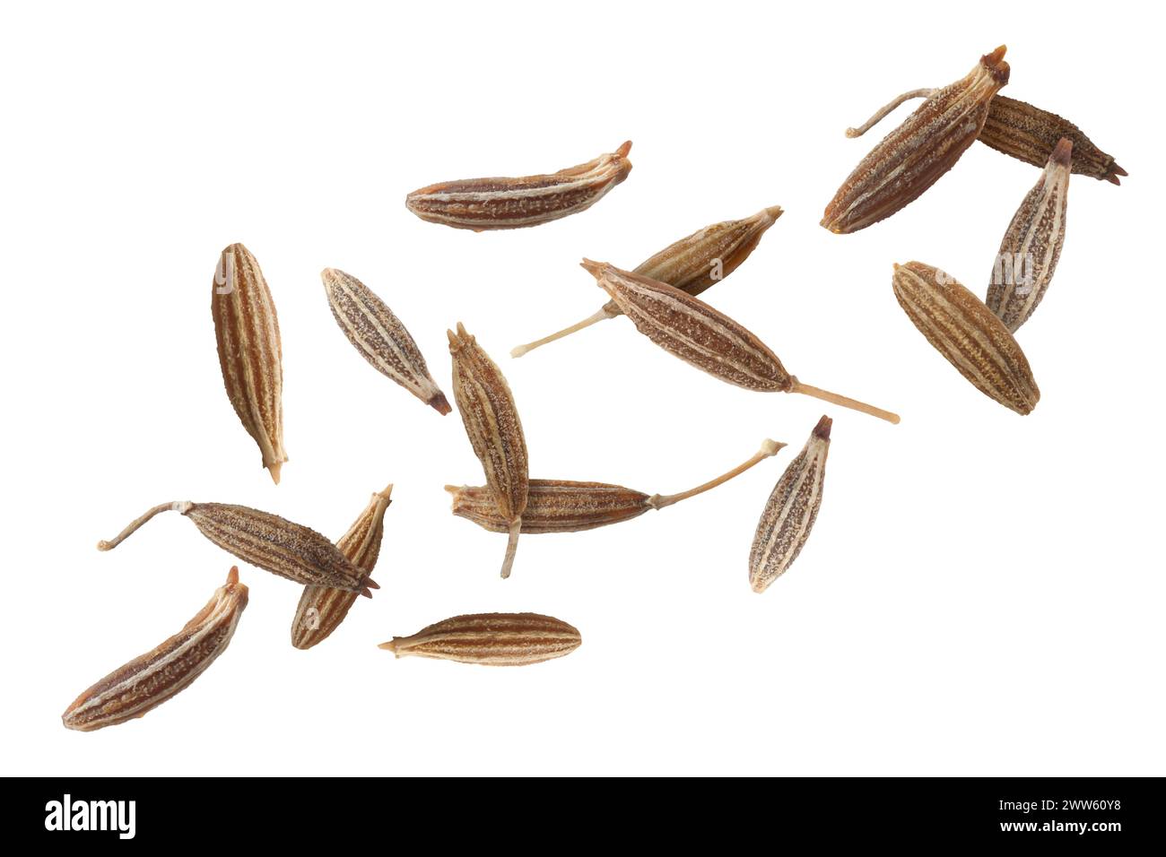 Many cumin seeds falling on white background Stock Photo - Alamy