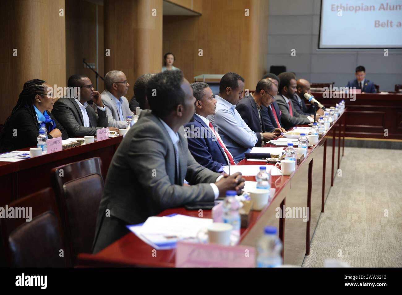 Addis Ababa, Ethiopia. 20th Mar, 2024. A symposium on the Belt and Road ...