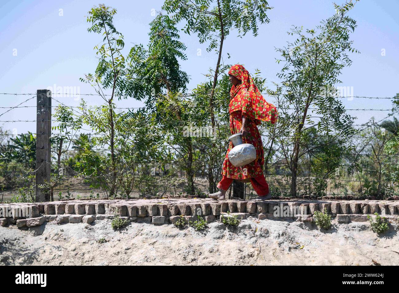 March 10, 2024, Dhaka, Bangladesh: A woman seen going to a pond to ...