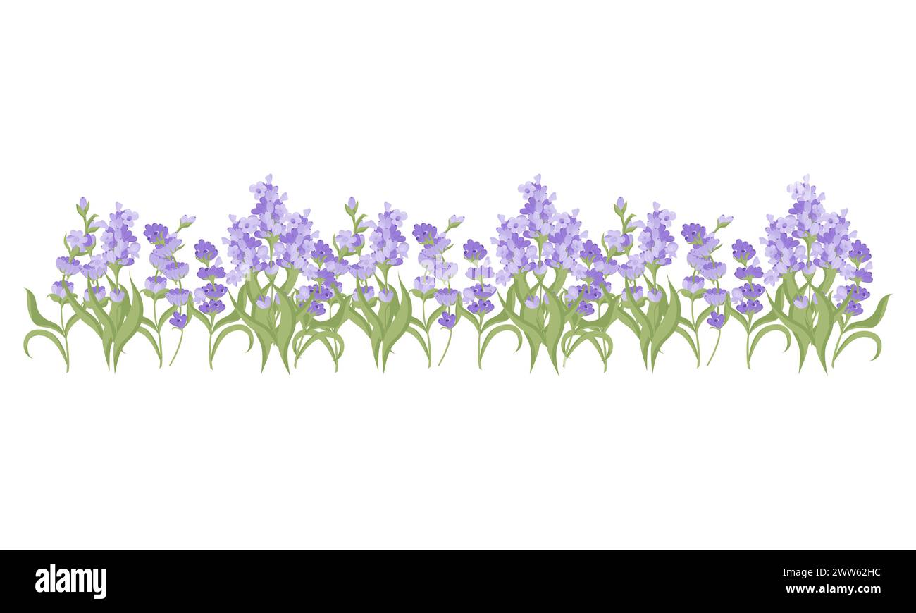 Decorative border of lavender flowers for your design. Vector ...