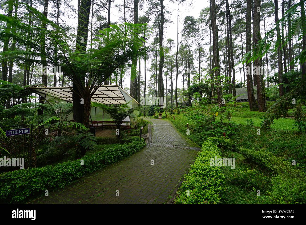 Orchid Forest Park and Garden, Cikole, Lembang, Bandung, West Java ...