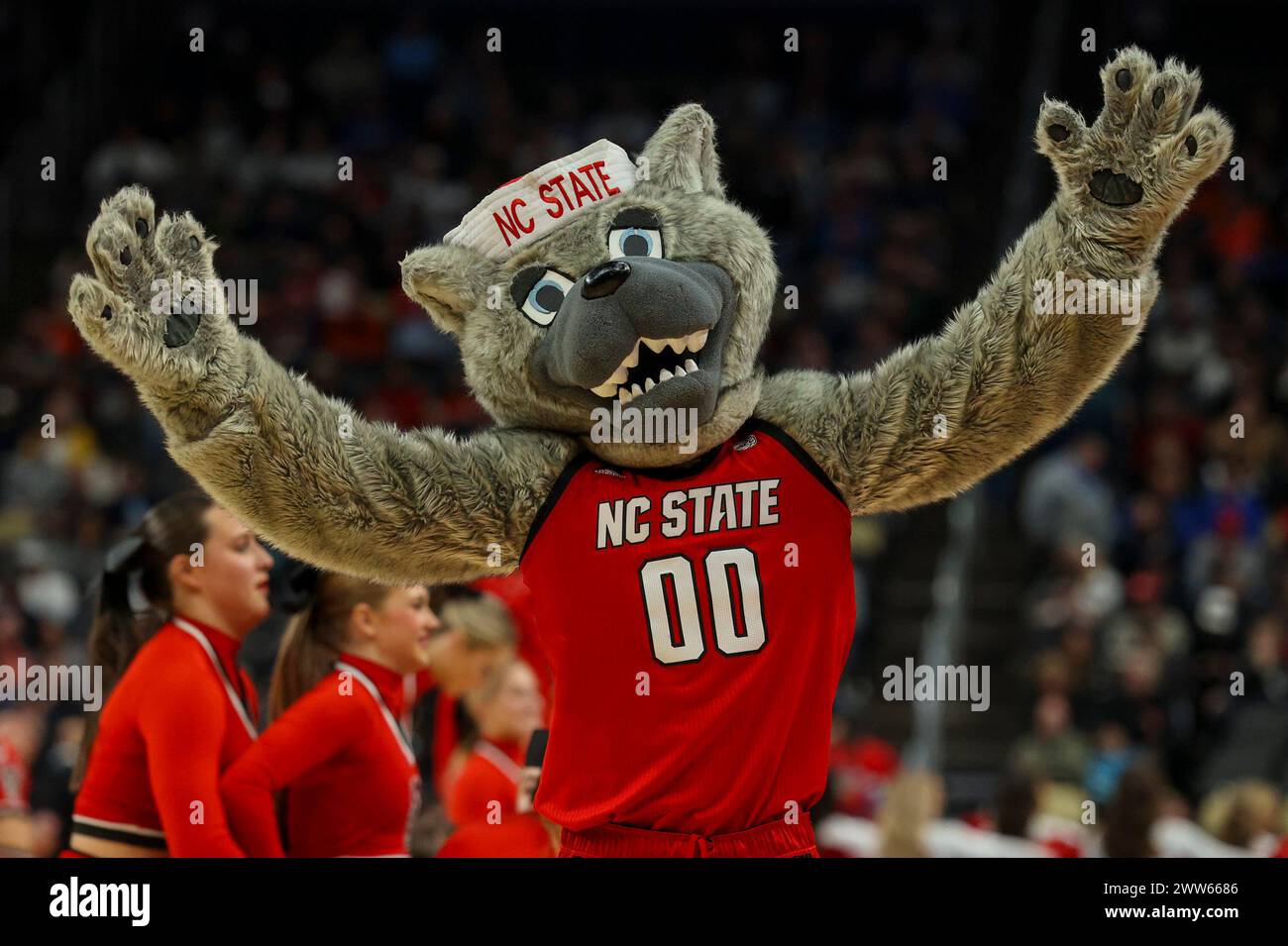 North carolina state wolfpack mascot hi-res stock photography and ...