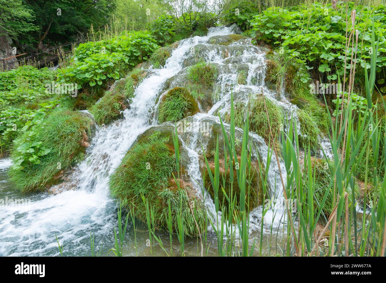 Scenic Plitvice Lakes water tumbles over greenery in Croatia Stock ...