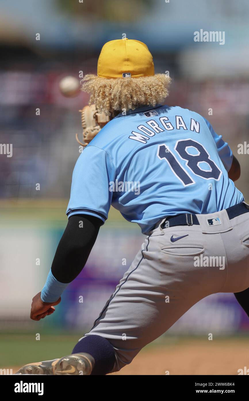 Baycare park hi-res stock photography and images - Alamy