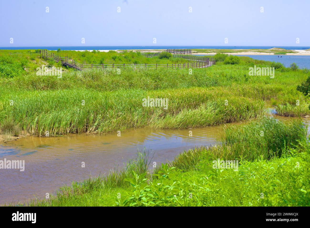 Goseong County, South Korea - July 30, 2019: A serene stream flows ...