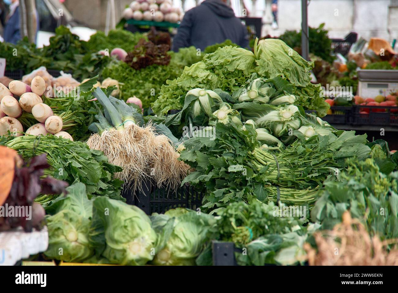 Vegetable stall with leeks, collard greens, lettuce, beets, turnip ...