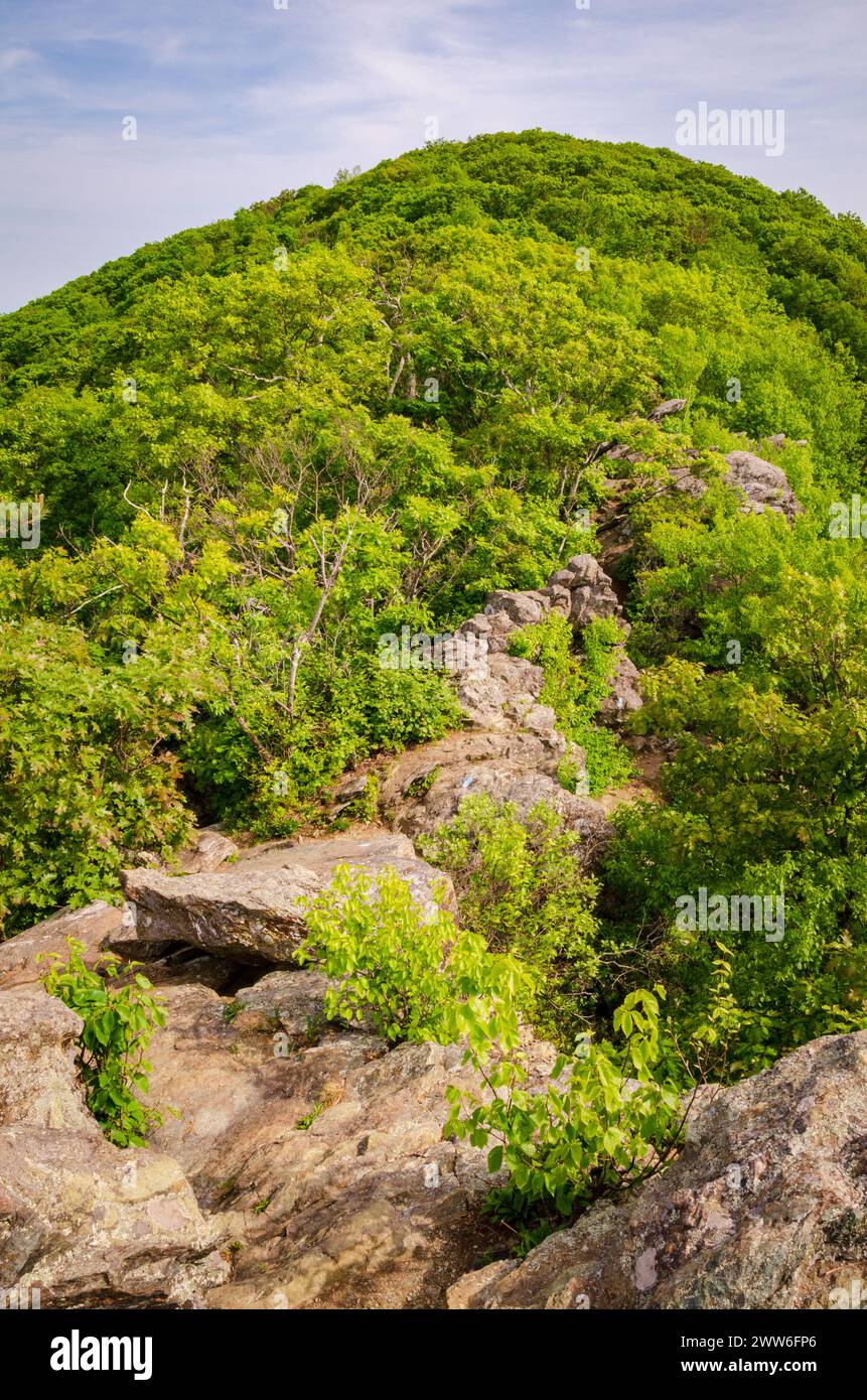 Bearfence Mountain Loop at Shenandoah National Park along the Blue ...