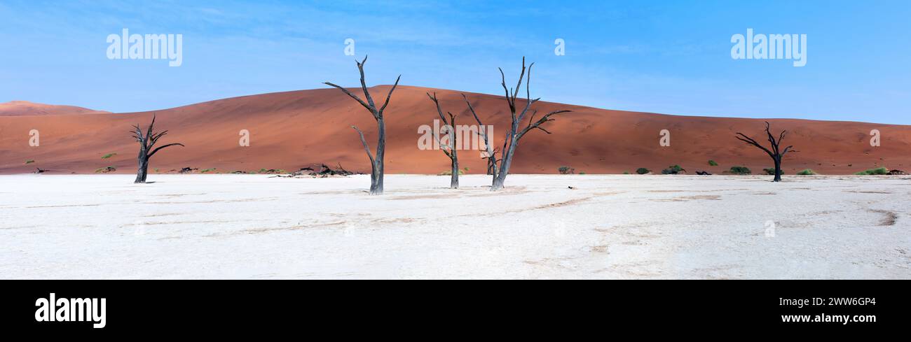 Famous dead tree orange hi-res stock photography and images - Alamy