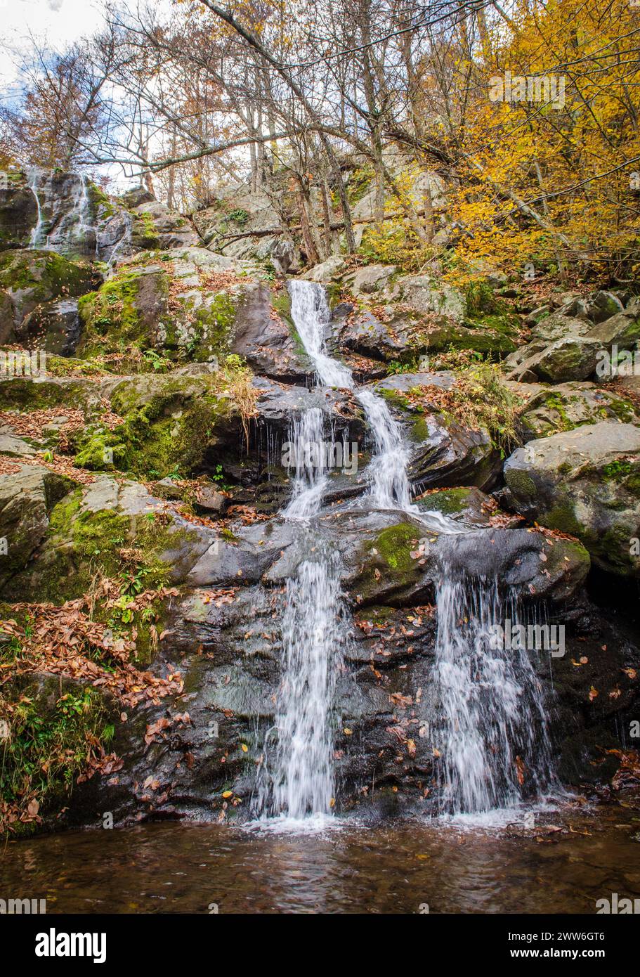 Dark Hollow Falls at Shenandoah National Park along the Blue Ridge Mountains in Virginia, USA ...
