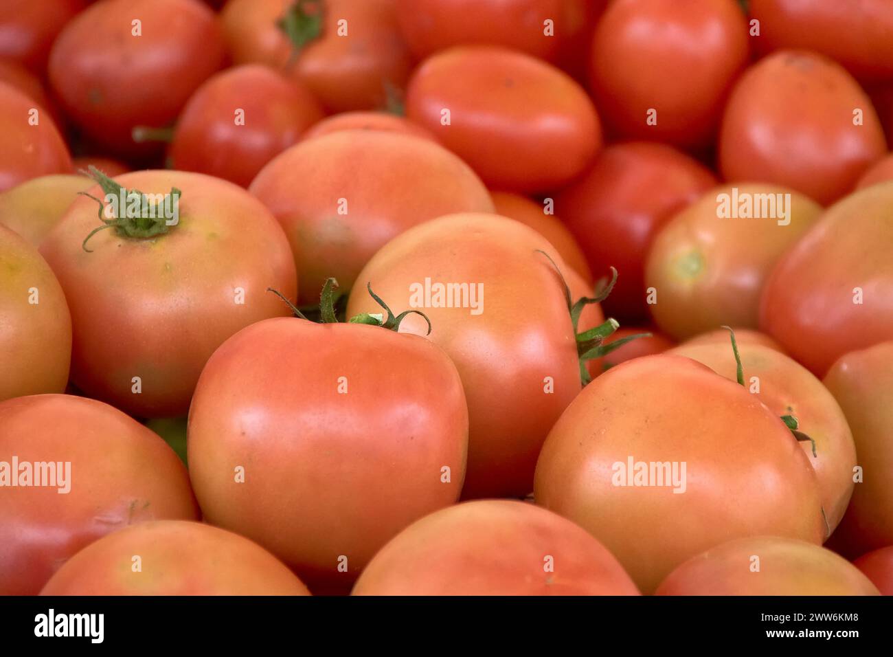 Stall selling tomatoes at the Barcelos fair in Portugal Stock Photo - Alamy