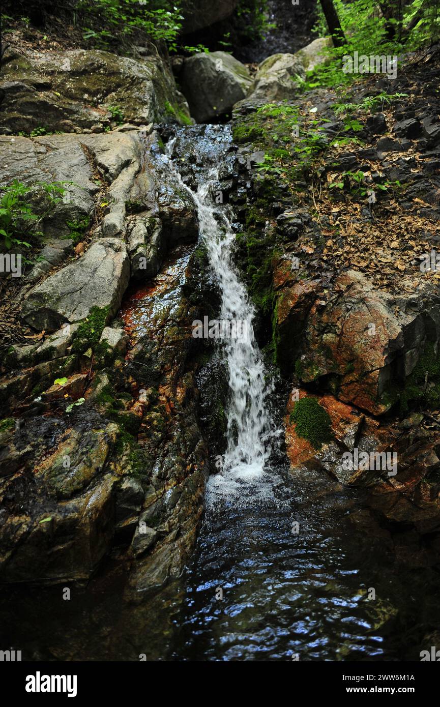 Mountain spring cascade Stock Photo - Alamy