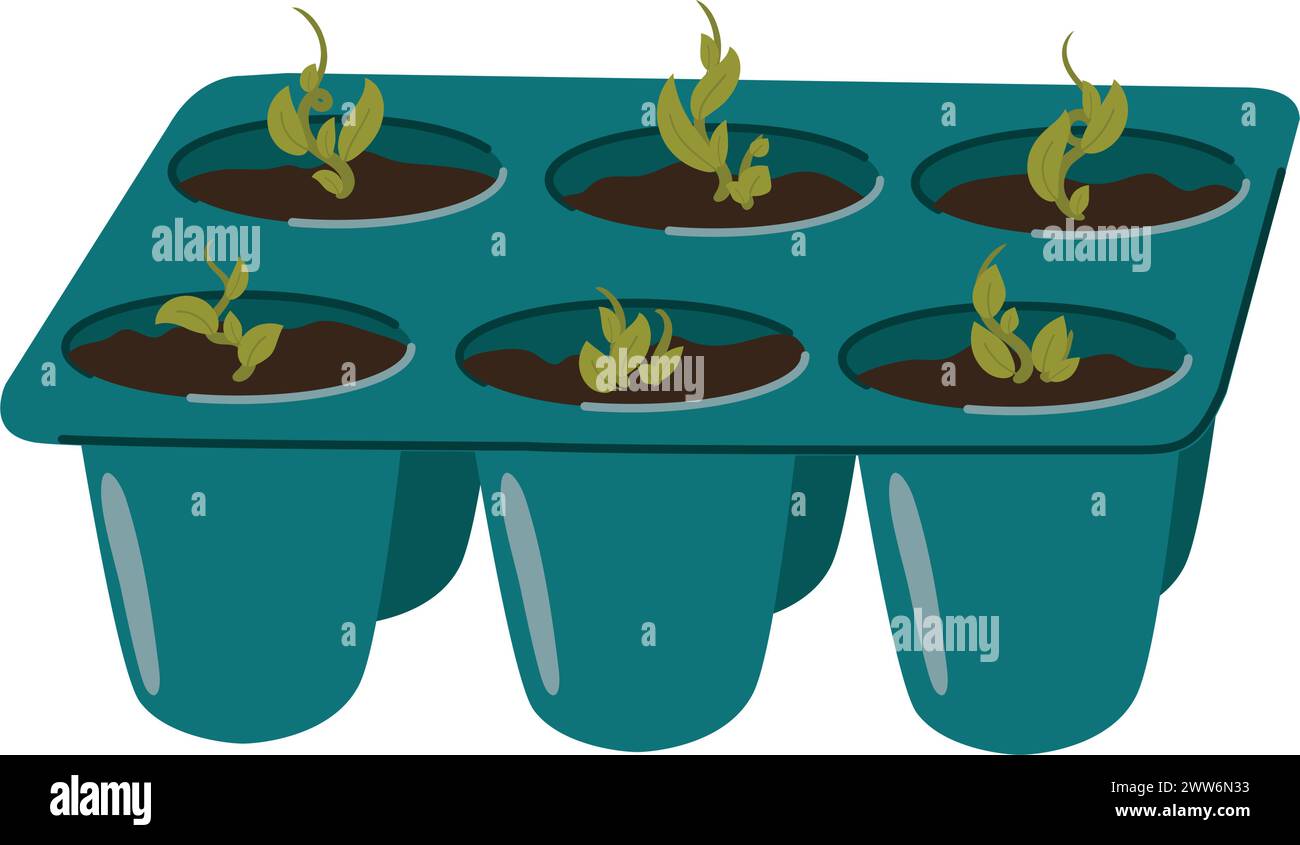 Plant in cassettes for germinating seedlings, vegetables on the balcony ...