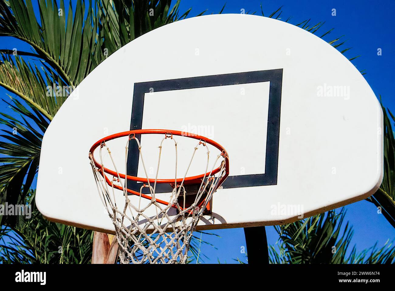 A basketball hoop stands beside a tall palm tree in Tumon Beach in Guam ...