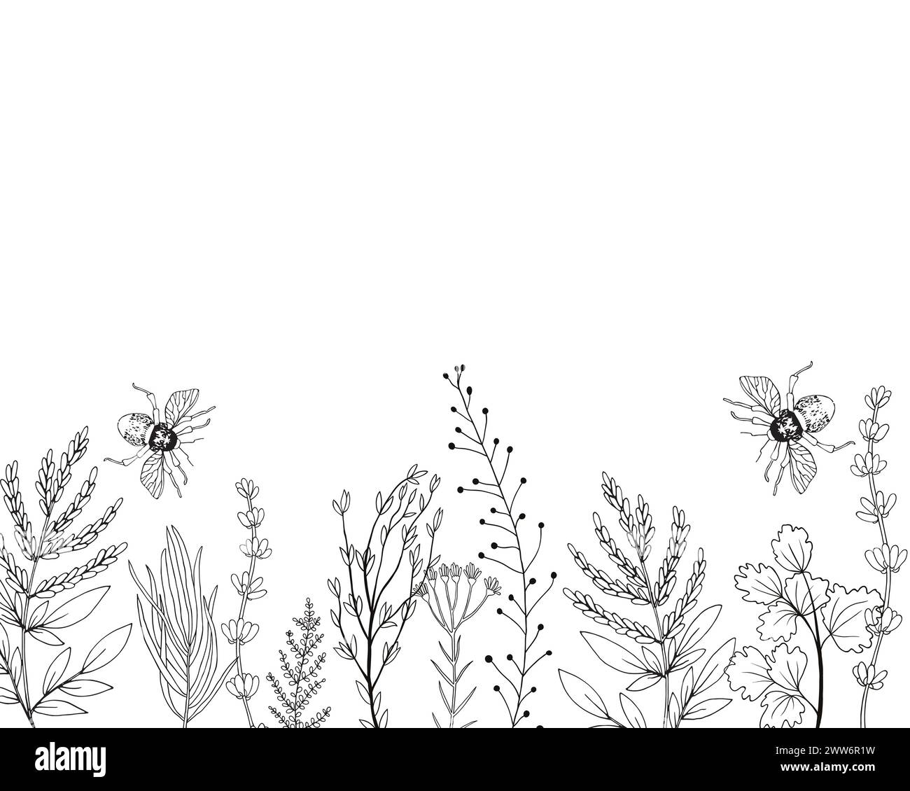 Hand drawn sketch flowers and insects Stock Vector Image & Art - Alamy