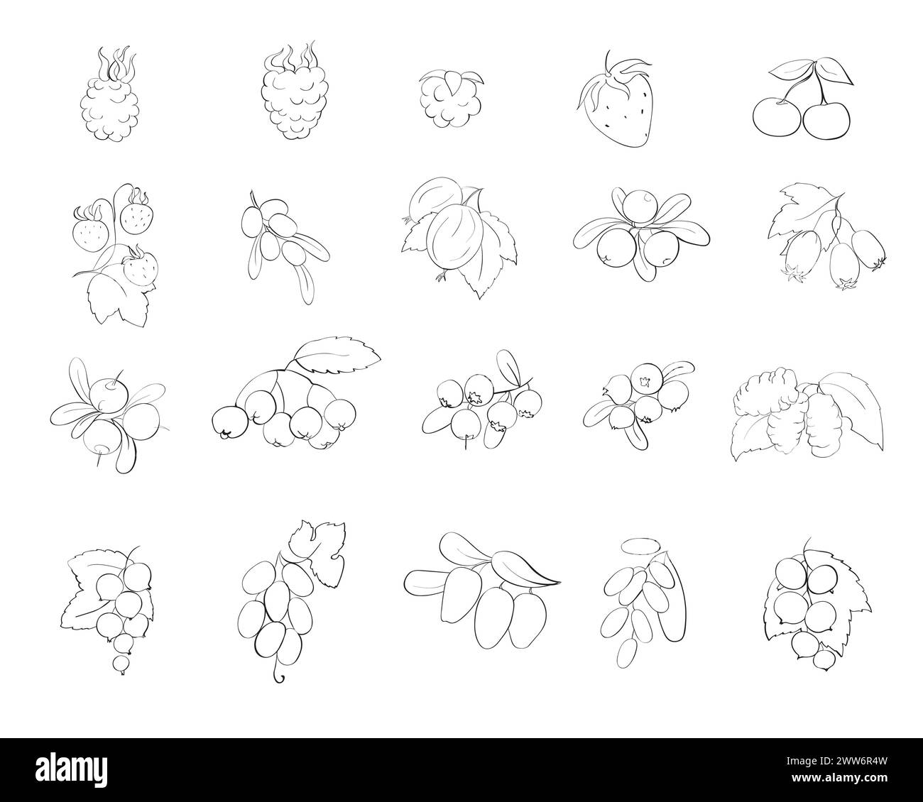 Set berry icons. Black outline. Collection of cartoon berries. Hand ...