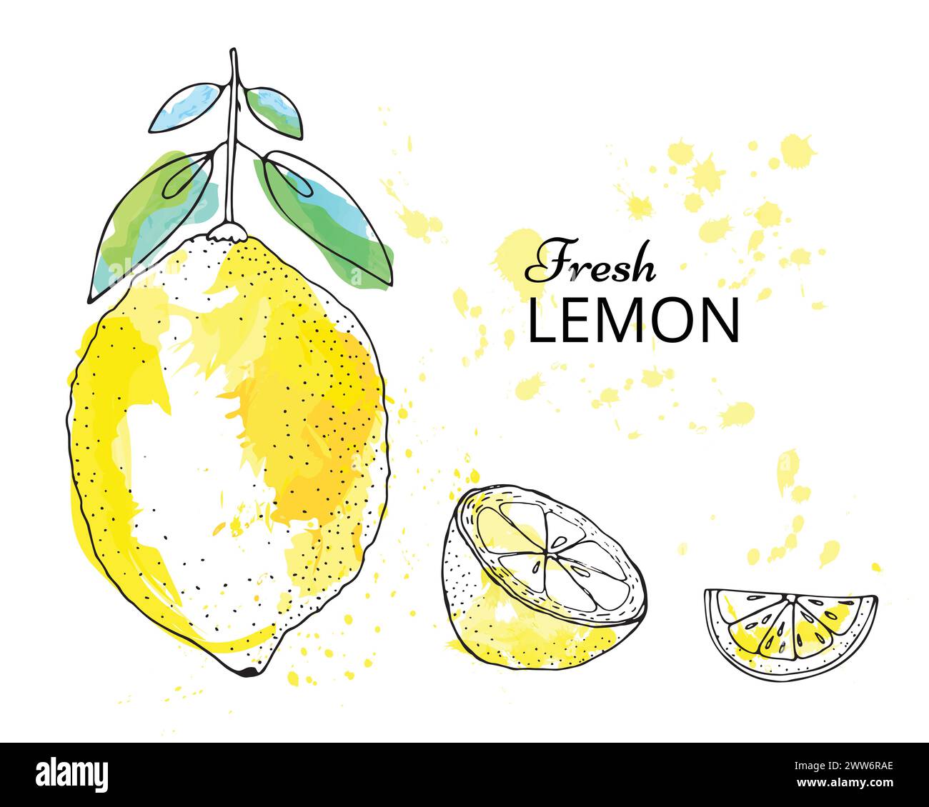 Abstract spots. Colored lemons. Watercolor style vector illustration ...