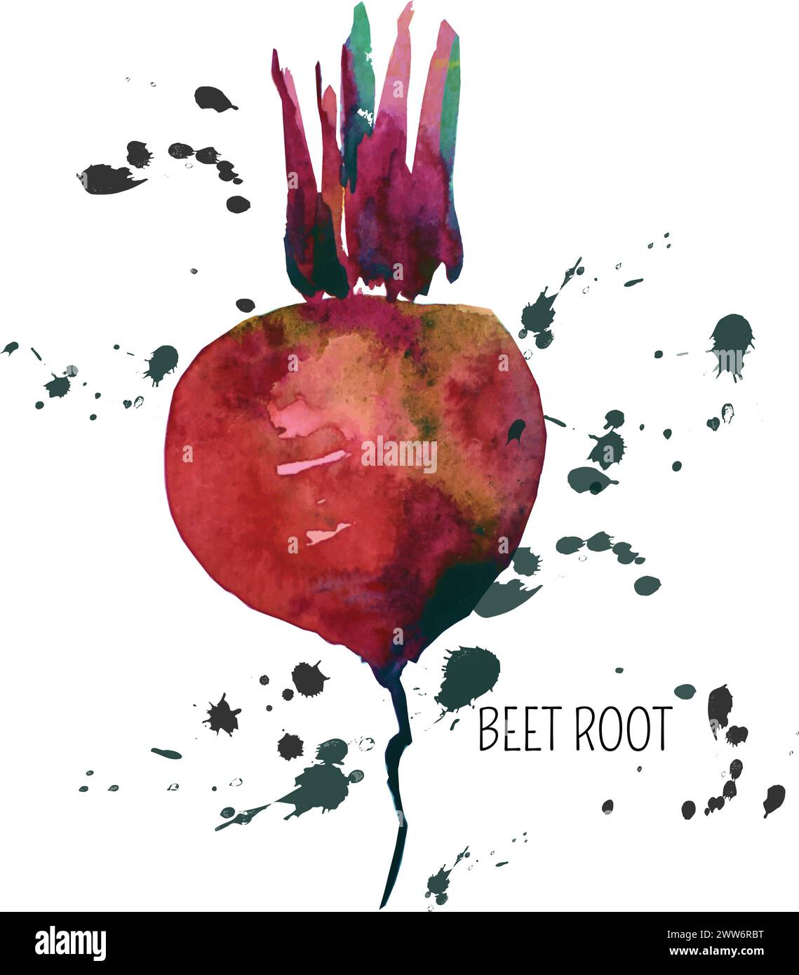 Hand drawn fresh food design element isolated on white background Stock ...