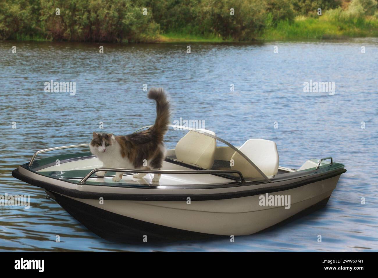 Funny boat hi-res stock photography and images - Alamy