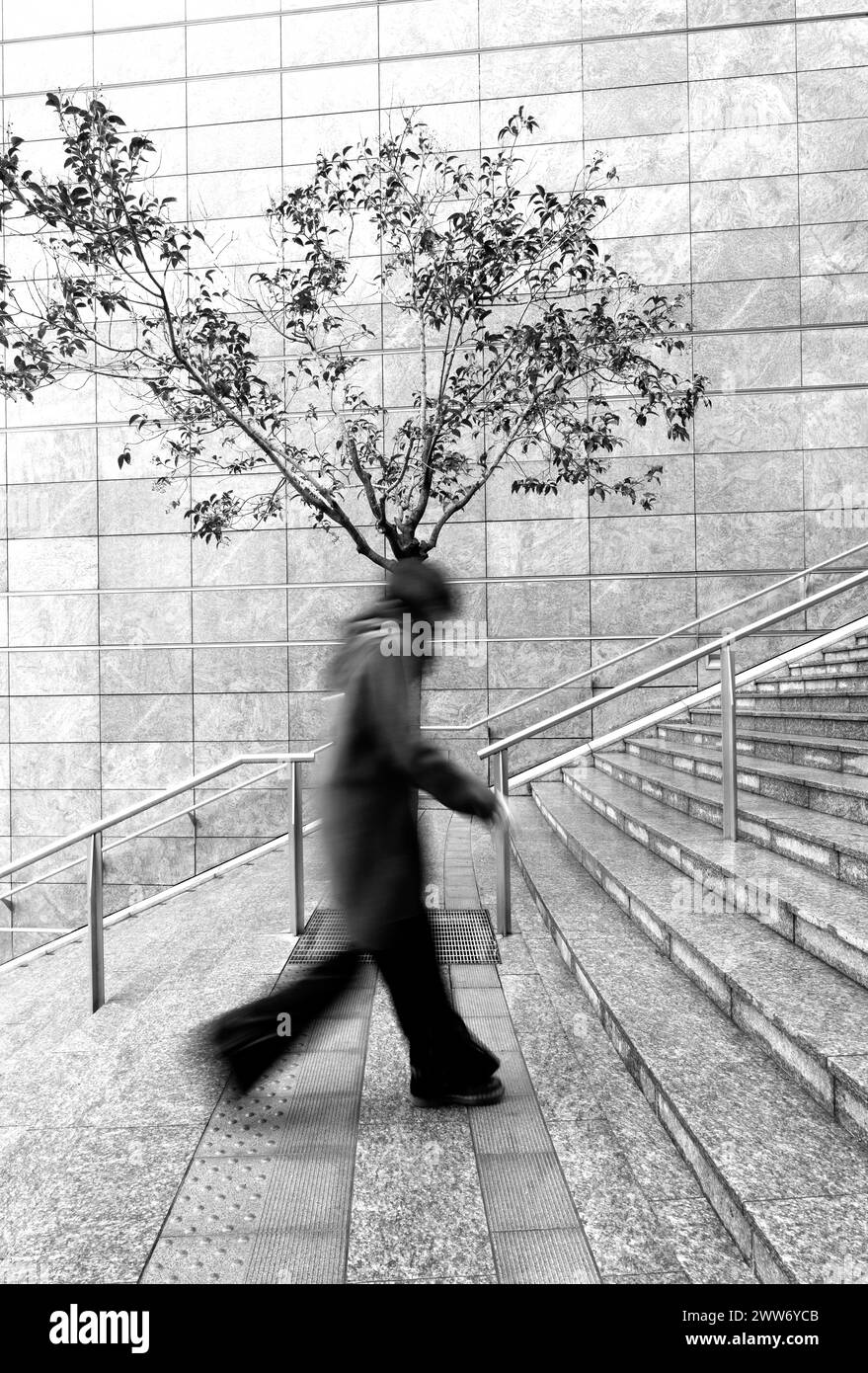 Girl climbing a staircase with a tree behind Stock Photo - Alamy