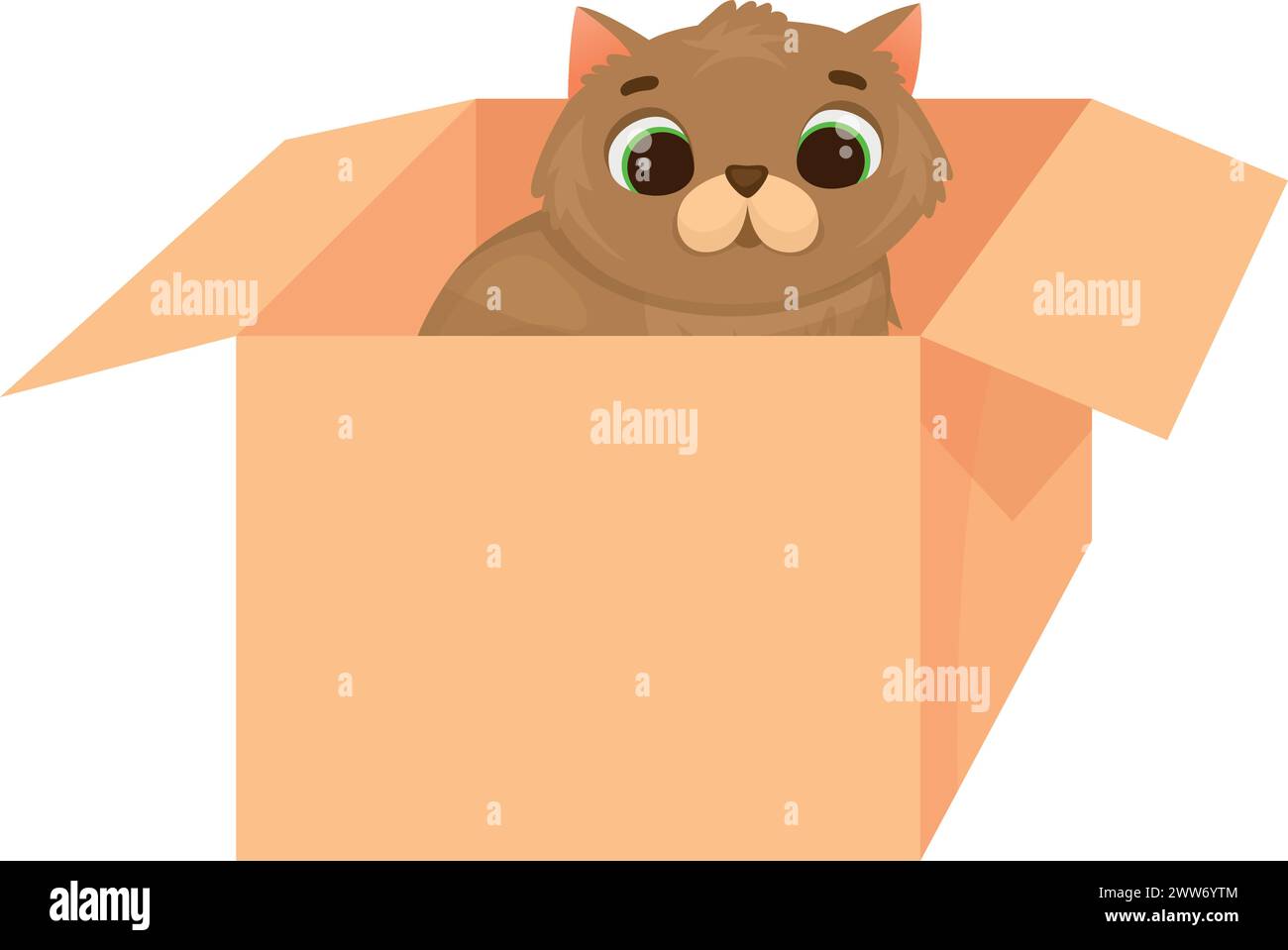 Funny cat sit in cardboard box. Cartoon pet isolated on white ...