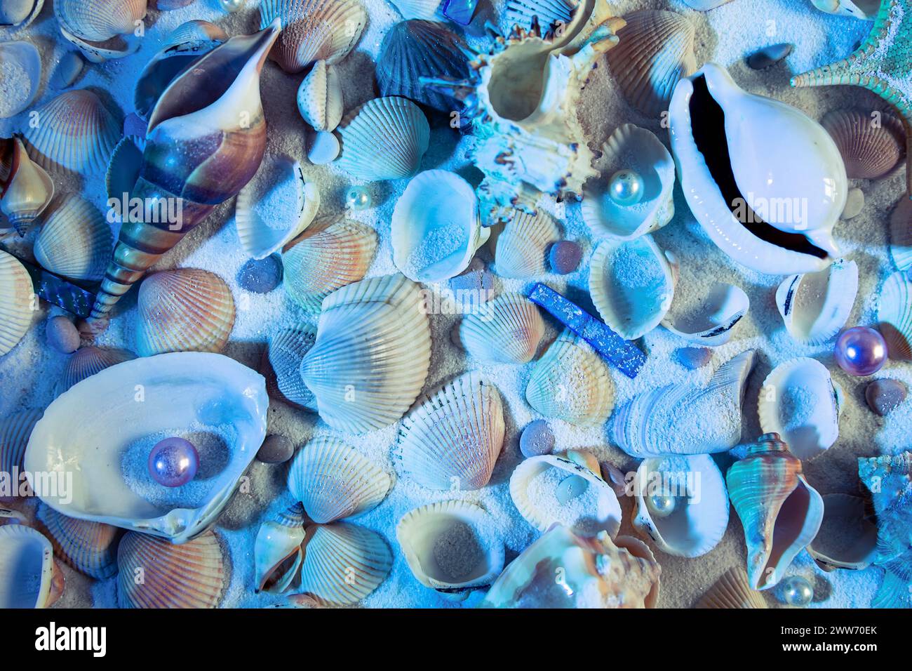 Lots of colored shells, pearls and starfish. Natural shell background ...
