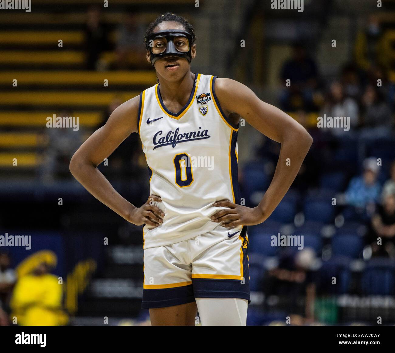 2024 0438 jpg hi-res stock photography and images - Alamy