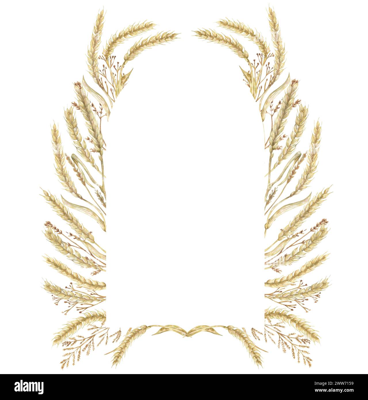 Hand drawn wheat decor ear of wheat frame hi-res stock photography and ...