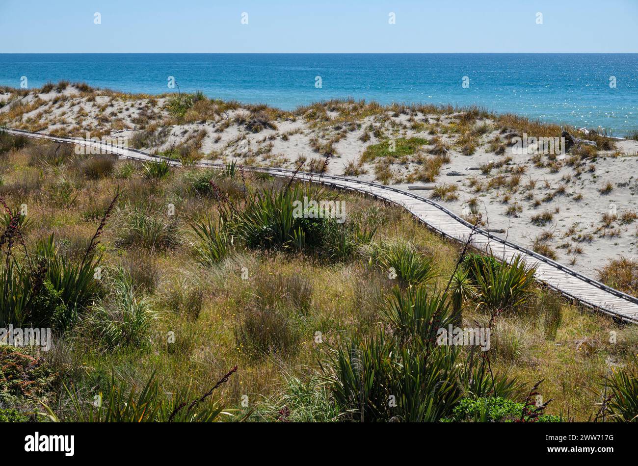 The boardwalk at Ship Creek, near Haast, South Island, New Zealand ...