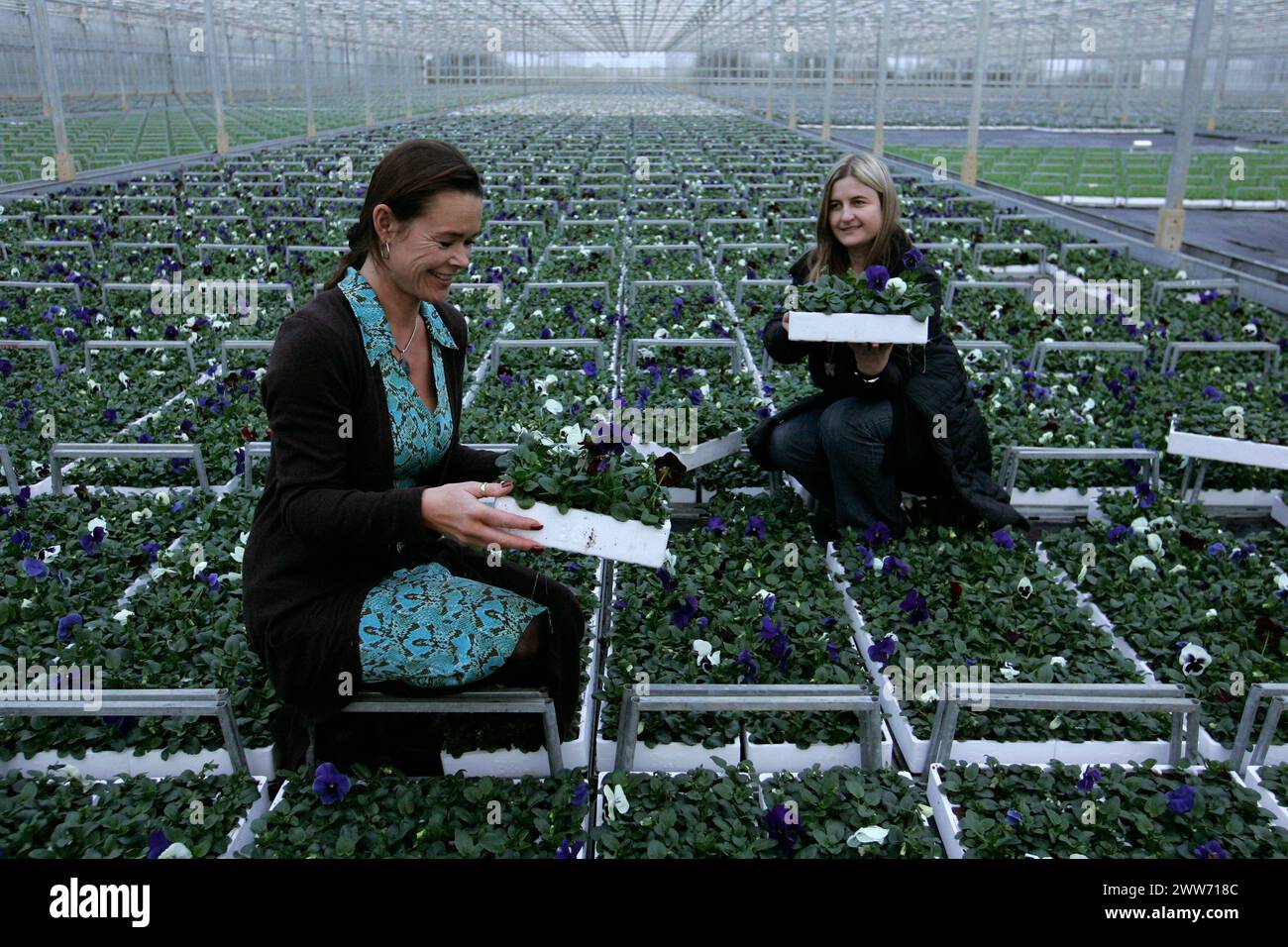 08/02/11..Pickers, Ingrid Bagdonaite and Sarah-Jane Milbourn inspect ...