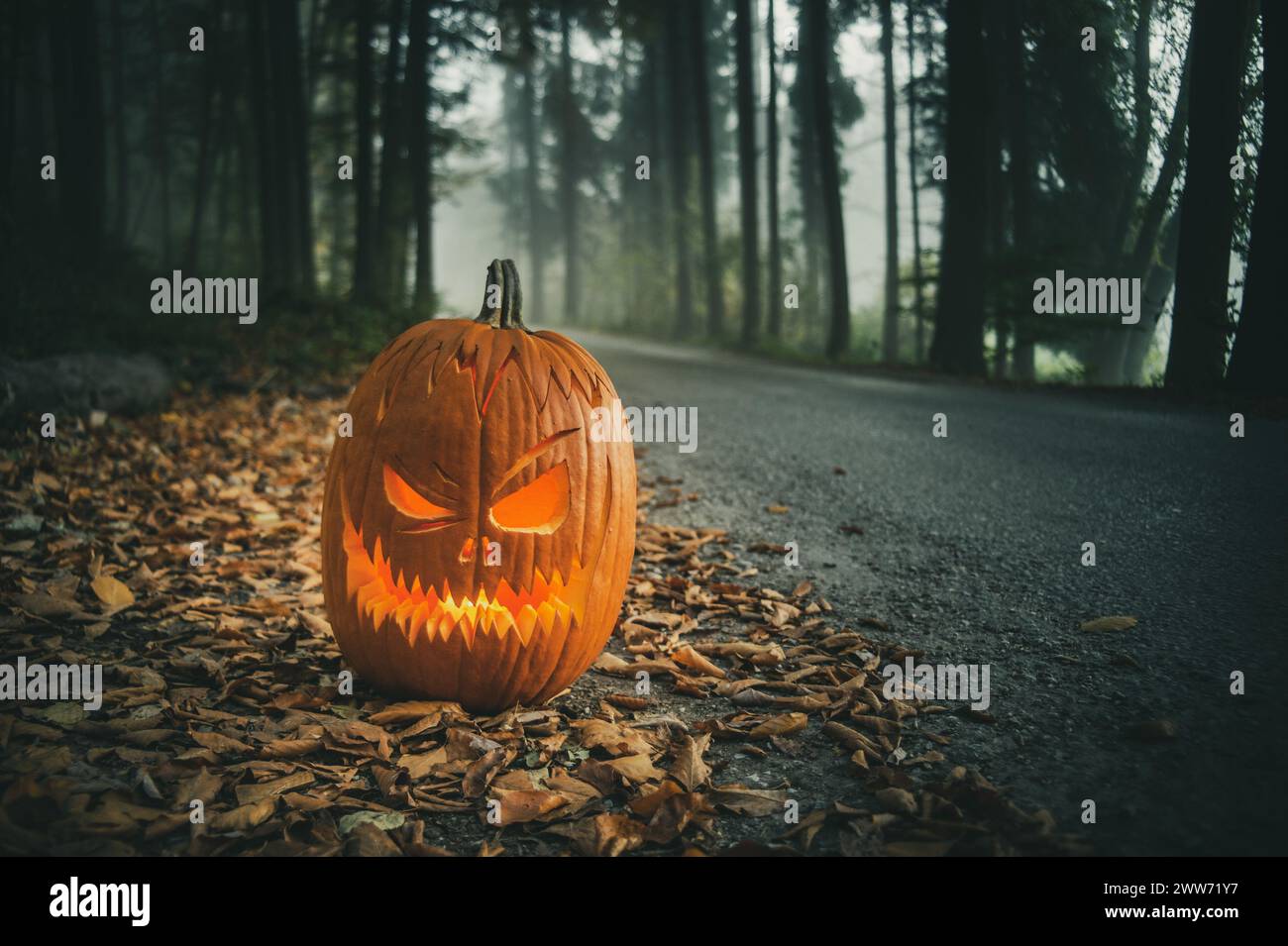 Krbis Halloween Bilder
