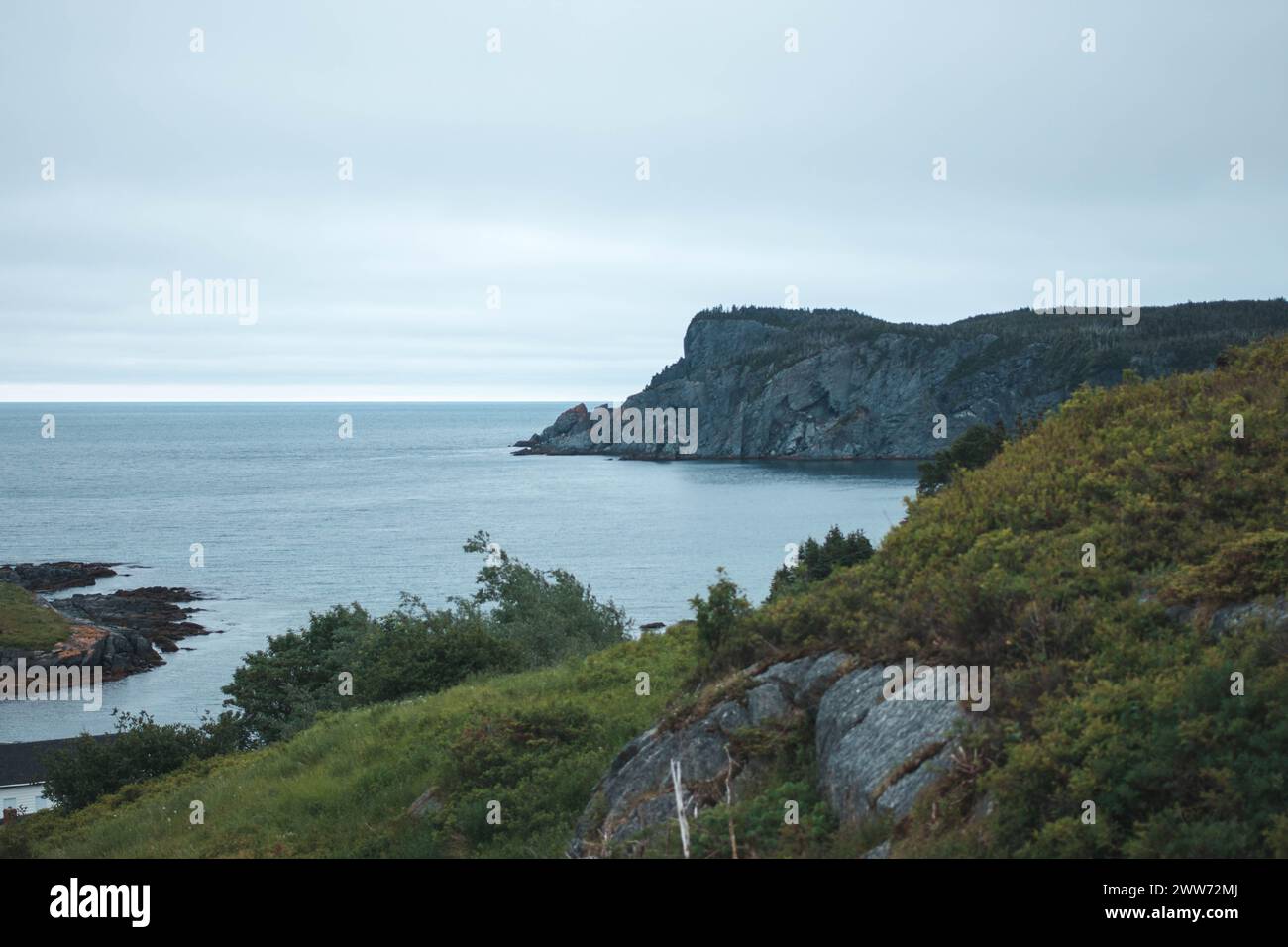 Brigus newfoundland hi-res stock photography and images - Alamy