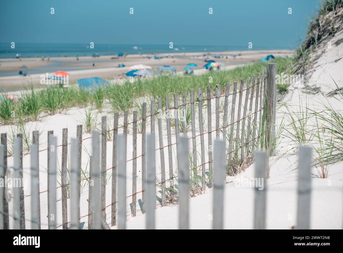 Wooden fence overlooking beach with dunes and beach umbrellas Stock ...