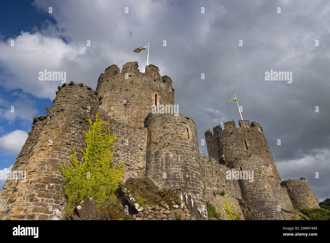 A view from the lower walls of the main towers of Conwy Castle Stock ...