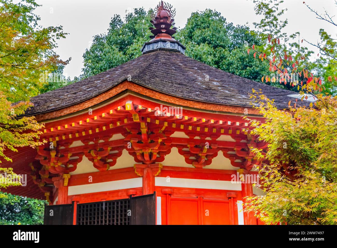 Colorful Red Aizendo Fall Leaves Tofuku-Ji Buddhist Temple Kyoto Stock ...