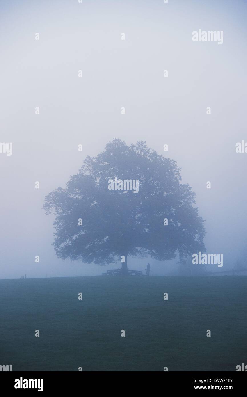 Mystisch maria plain hi-res stock photography and images - Alamy