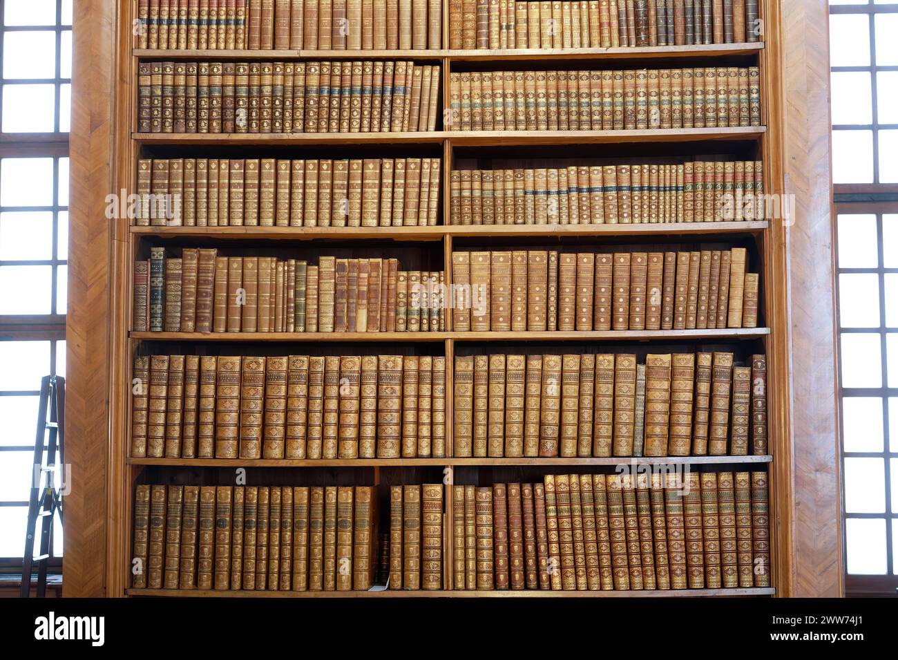 Vienna, Austria. The baroque state hall of the Austrian National ...