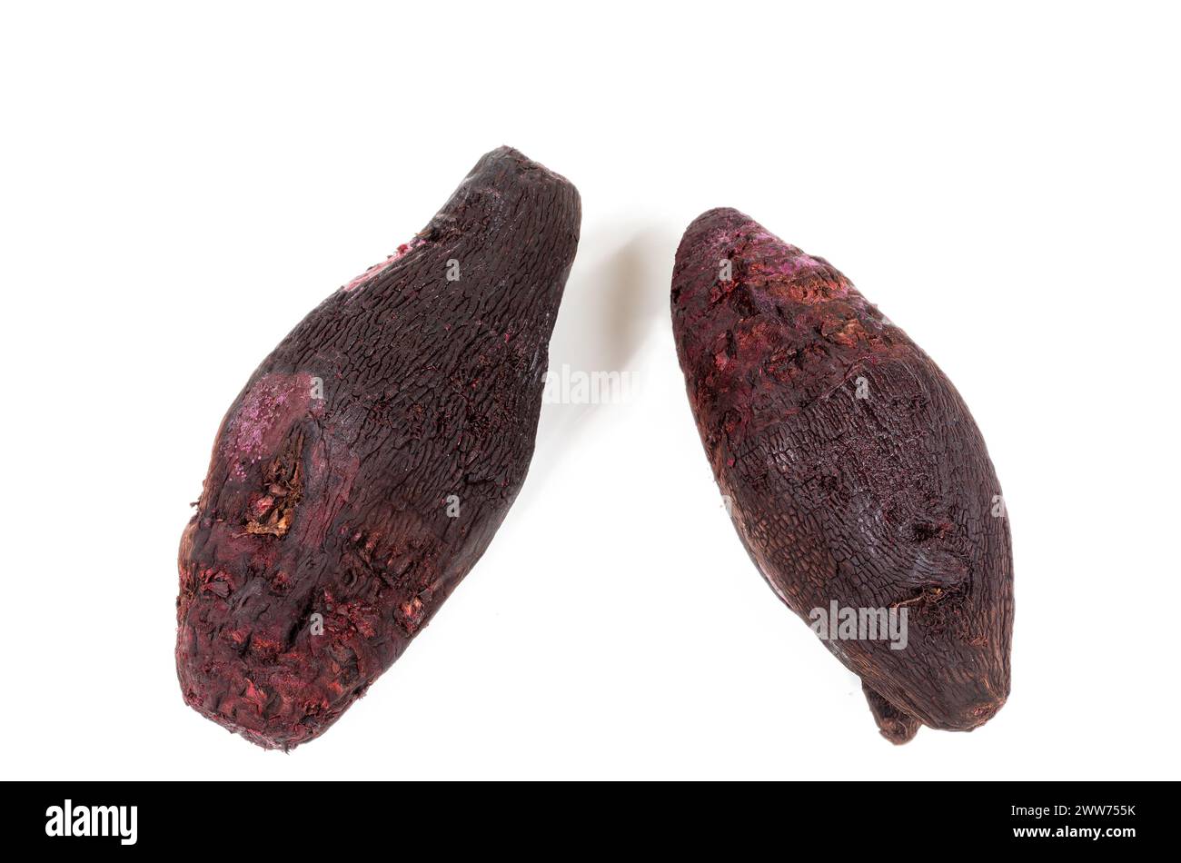 Two cooked red beets on a white background cut out Stock Photo - Alamy