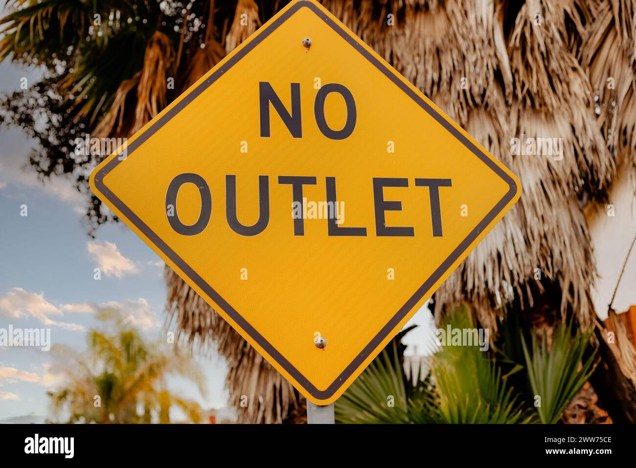 San diego palm trees street hi-res stock photography and images - Alamy