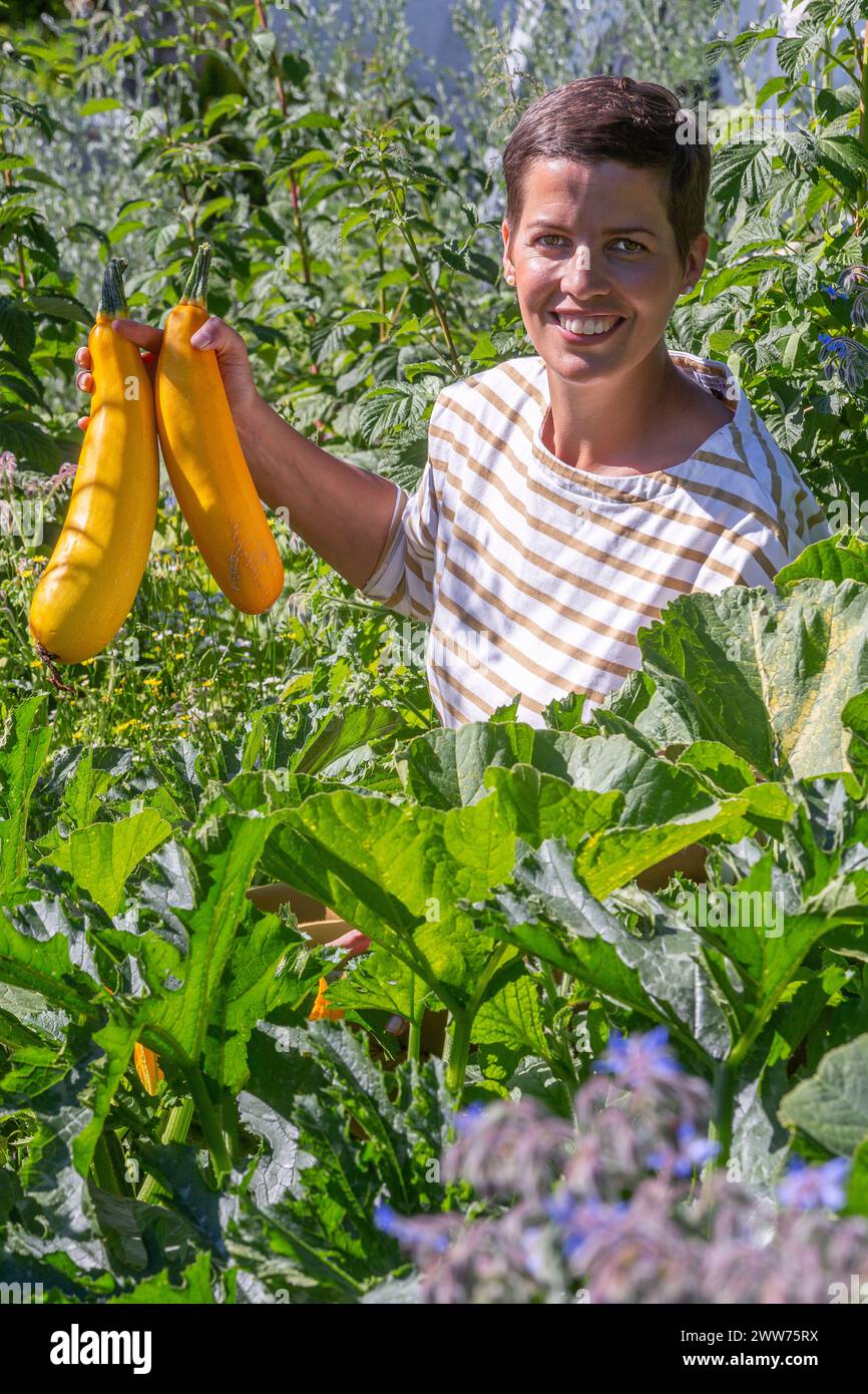 Two yellow zucchinis hi-res stock photography and images - Alamy