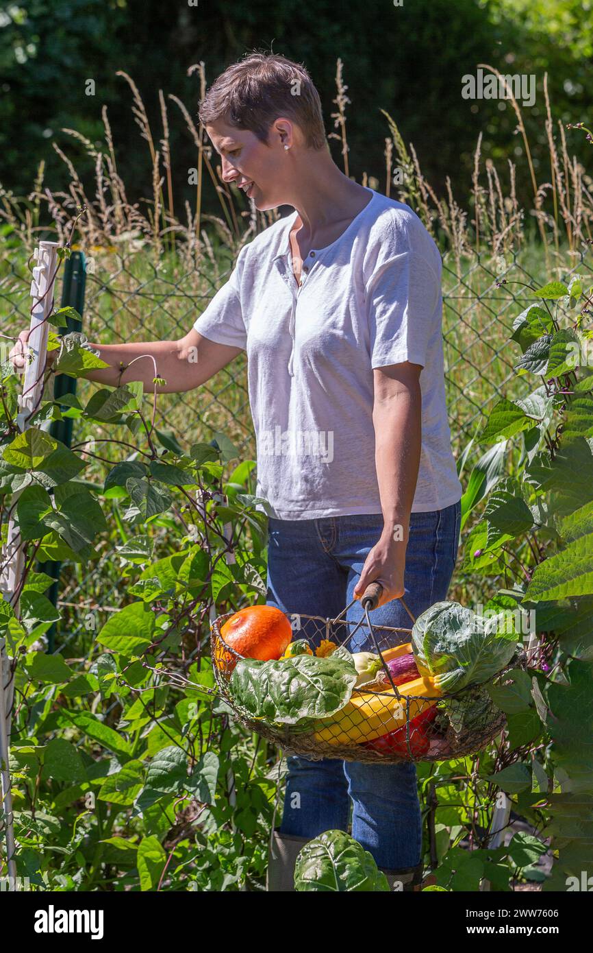 Young woman in profile picking vegetables, a pannier in her hand Stock ...