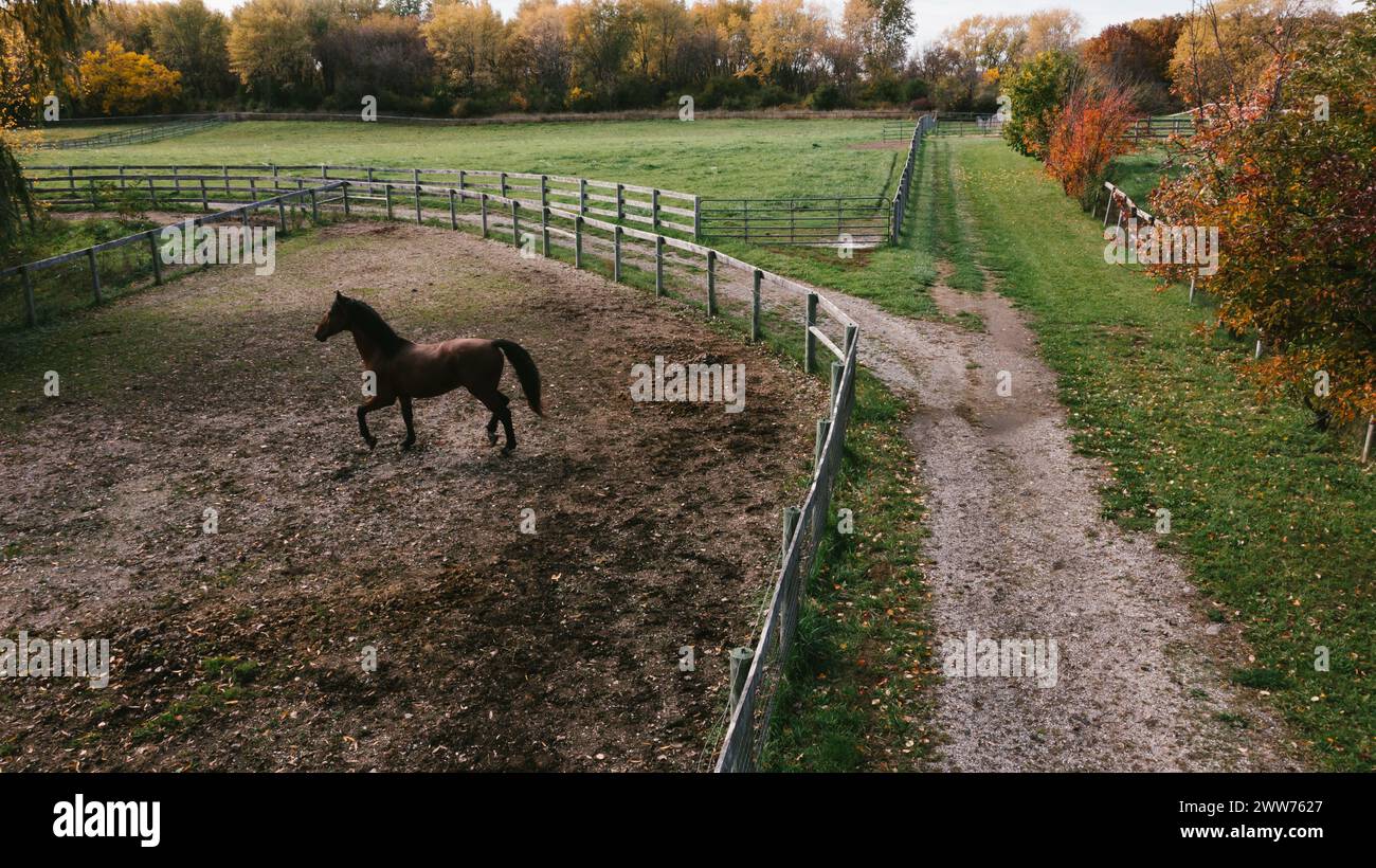Midwest horse farm hi-res stock photography and images - Alamy