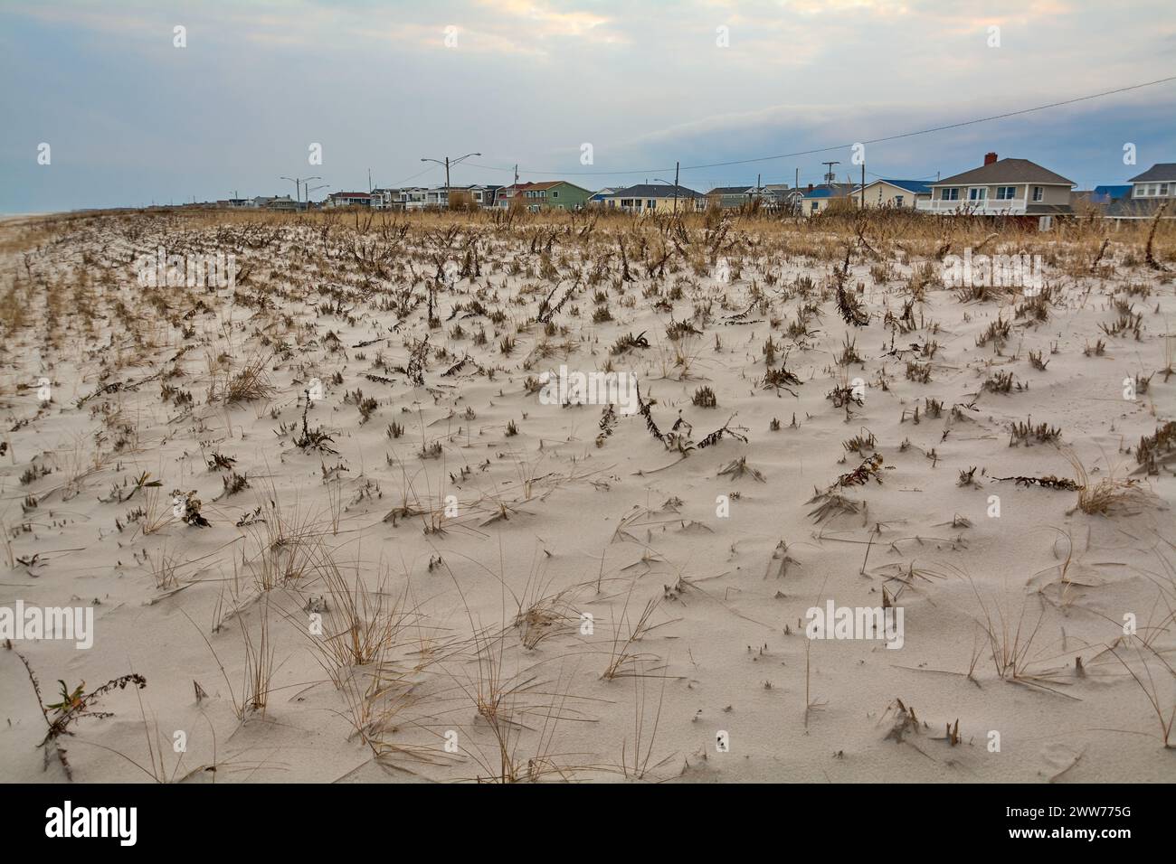 Coastal houses from the sand dunes. The dry, scattered vegetation adds ...