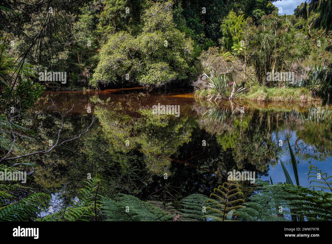 Bog body hi-res stock photography and images - Alamy