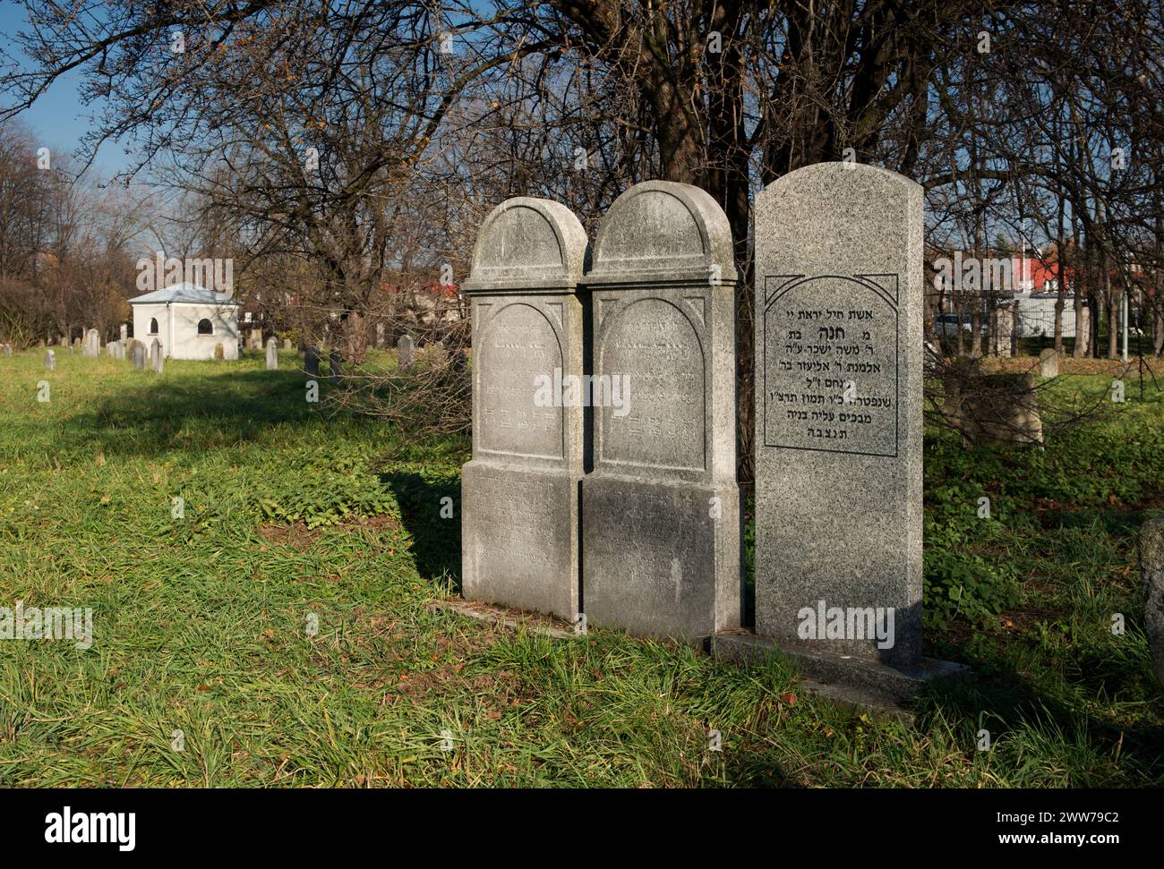 Jewish cemetery in Nowy Sacz, Kirkut, Malopolska, Lesser Poland, Poland ...