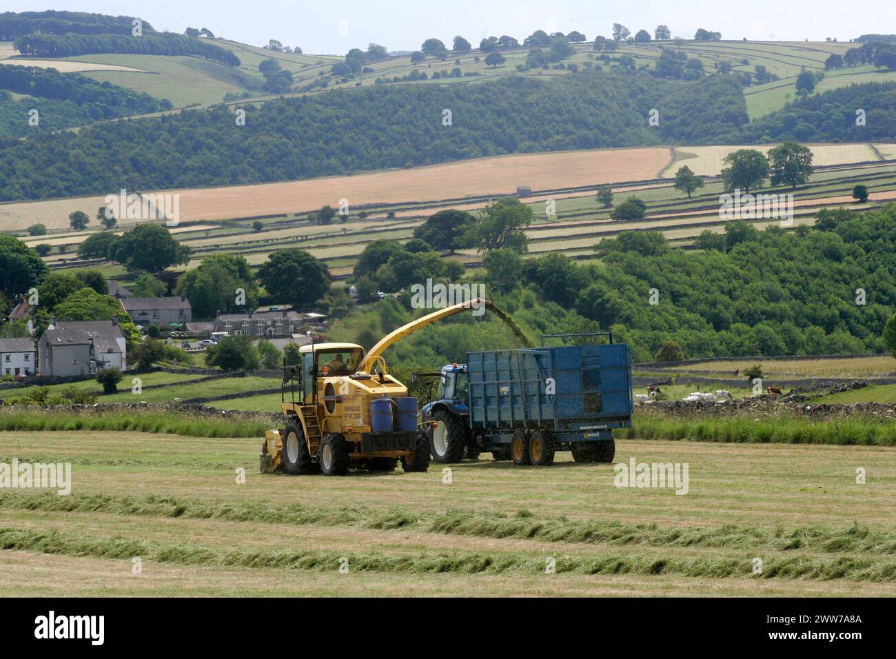 06/07/11 TODAY PHOTO..A combine literally 'makes hay while the sun ...