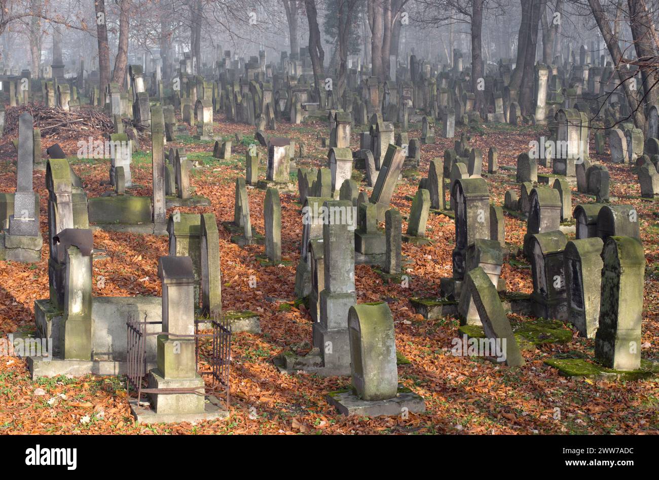 Tarnow cemetery hi-res stock photography and images - Alamy